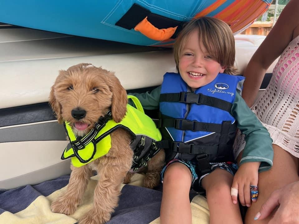 Health Testing Standards - Goldendoodle Association of North America