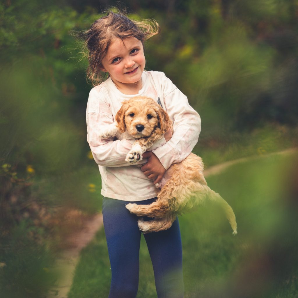 GANA Breeder Directory - Goldendoodle Association of North America