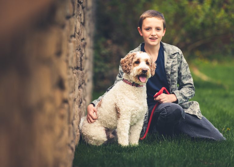 History of the Goldendoodle - Goldendoodle Association of North America